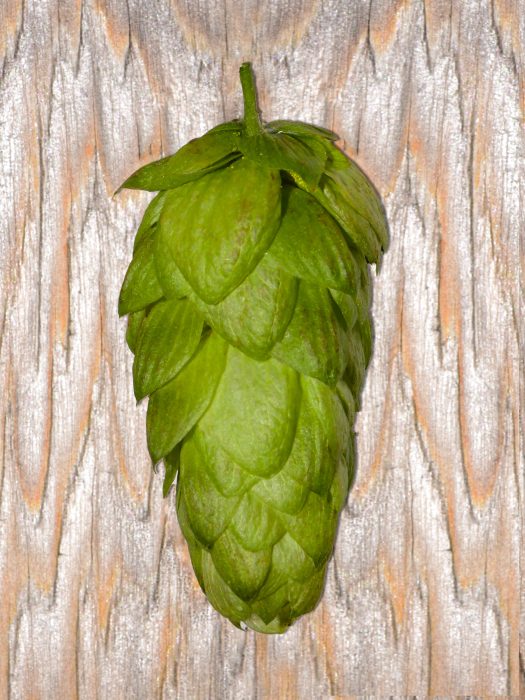 Epic Hops - Hukins Hops