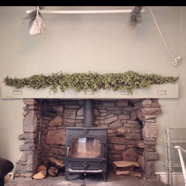 Hop Garlands | Hop Vines | Buy Decoration Fresh & Dried Garlands