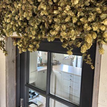 Hop Garlands | Hop Vines | Buy Decoration Fresh & Dried Garlands