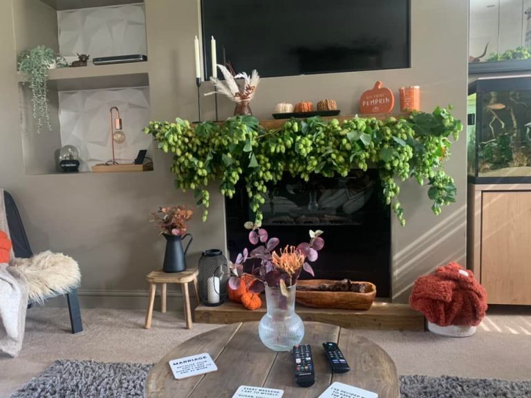Hop Garlands | Hop Vines | Buy Decoration Fresh & Dried Garlands